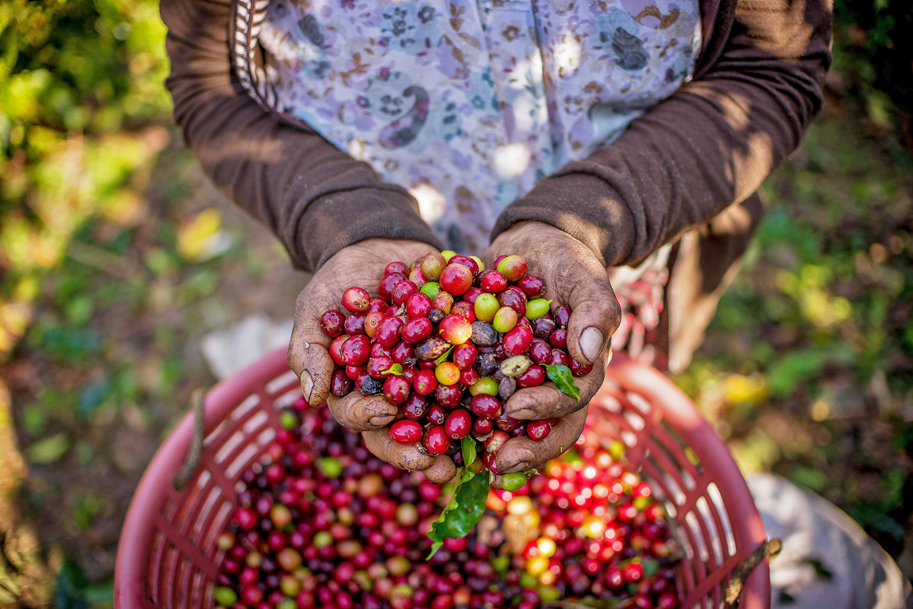 The benefits of choosing a sustainable coffee machine for your business